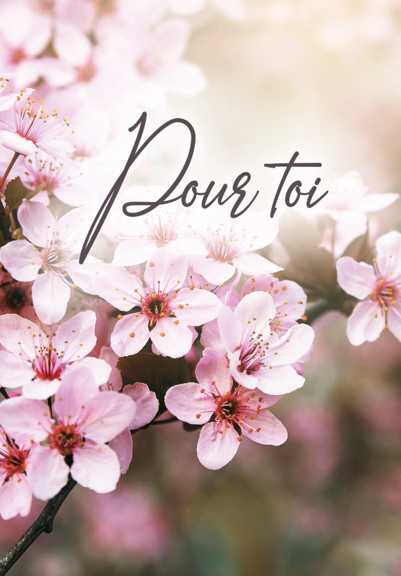 Pour toi - Fleurs de cerisier